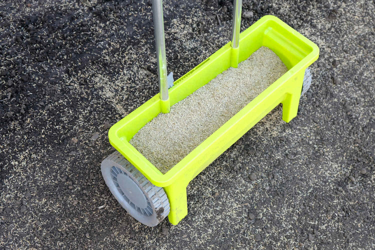 How Deep to Plant Grass Seed for a Lush Lawn