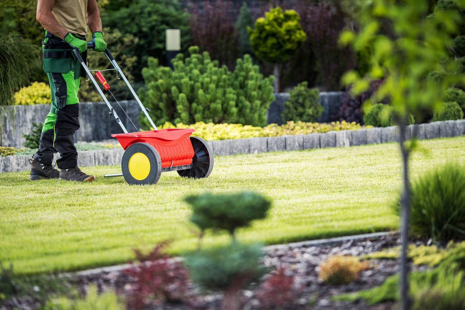 Can You Plant Grass Seed in November? | Lawn Synergy