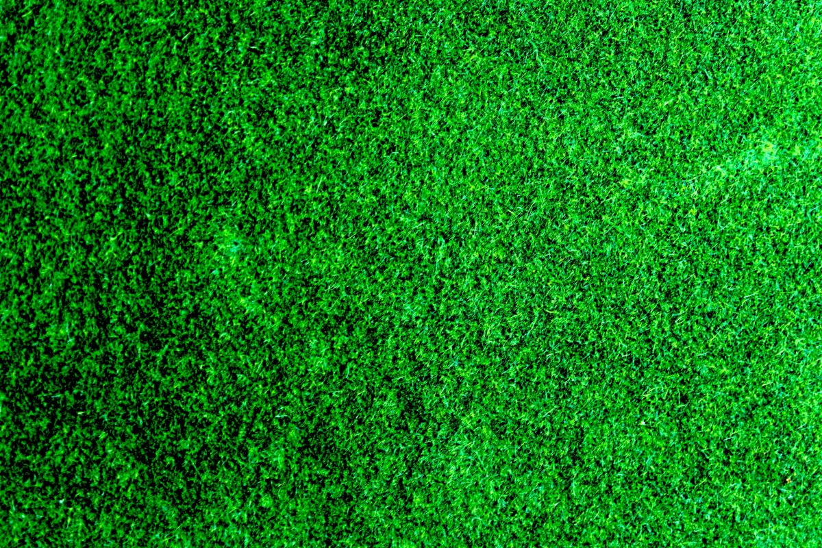 Pre Emergent Schedule: Timing Tips for a Weed-Free Lawn