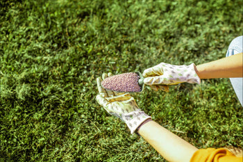 How Long Does Pre Emergent Last? Expert DIY Guide