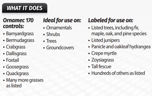 Ornamec 170 Grass Herbicide
