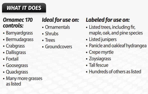 Ornamec 170 Herbicide - Bermudagrass Control in Fescue & Zoysia