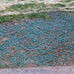 Seed Aide Cover Grow Grass Seed Mulch