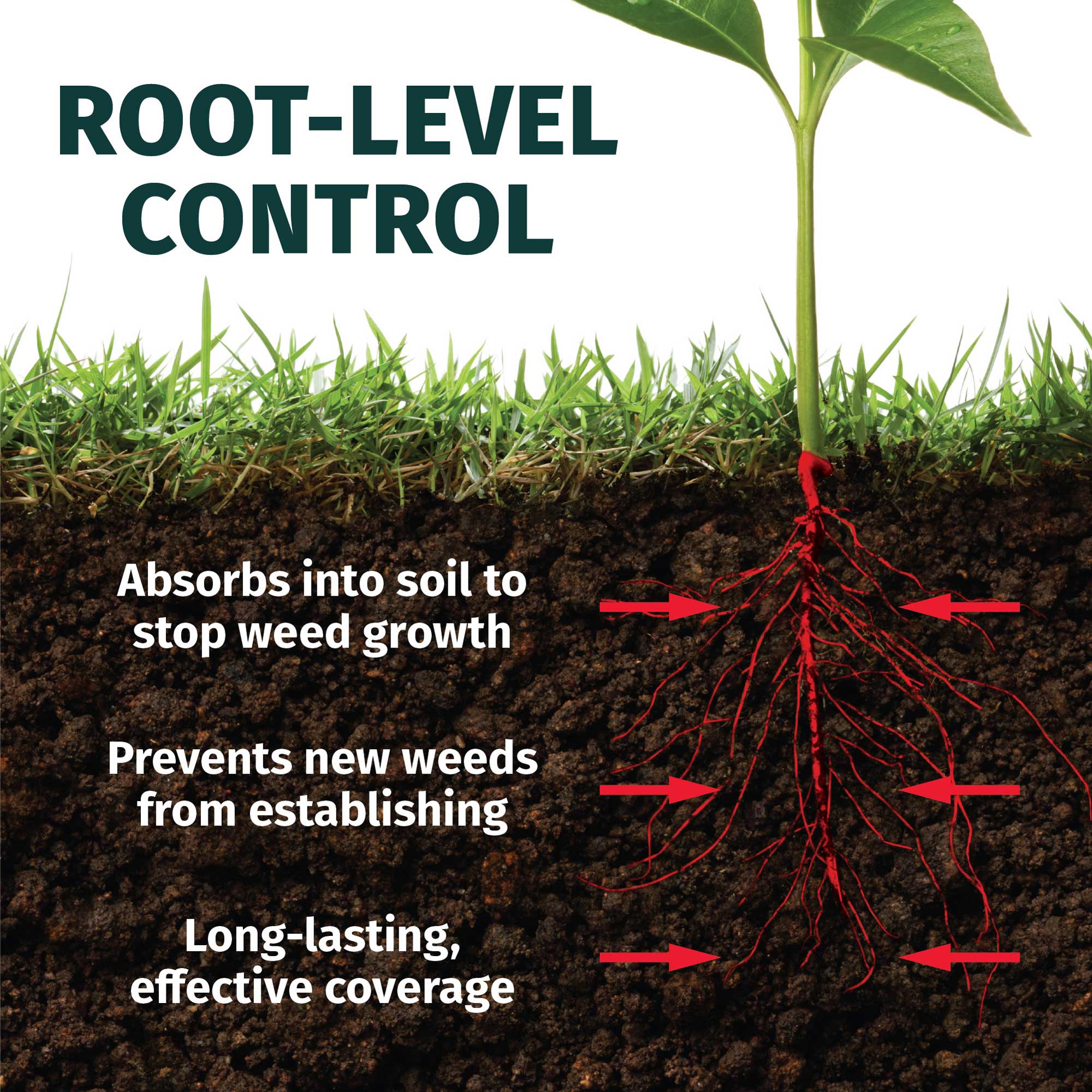 Atrazine St. Augustine Weed Killer – Targeted Control for Lawn Weeds