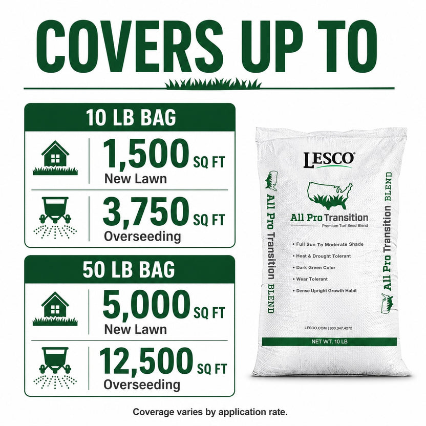LESCO All Pro Transition Tall Fescue Grass Seed