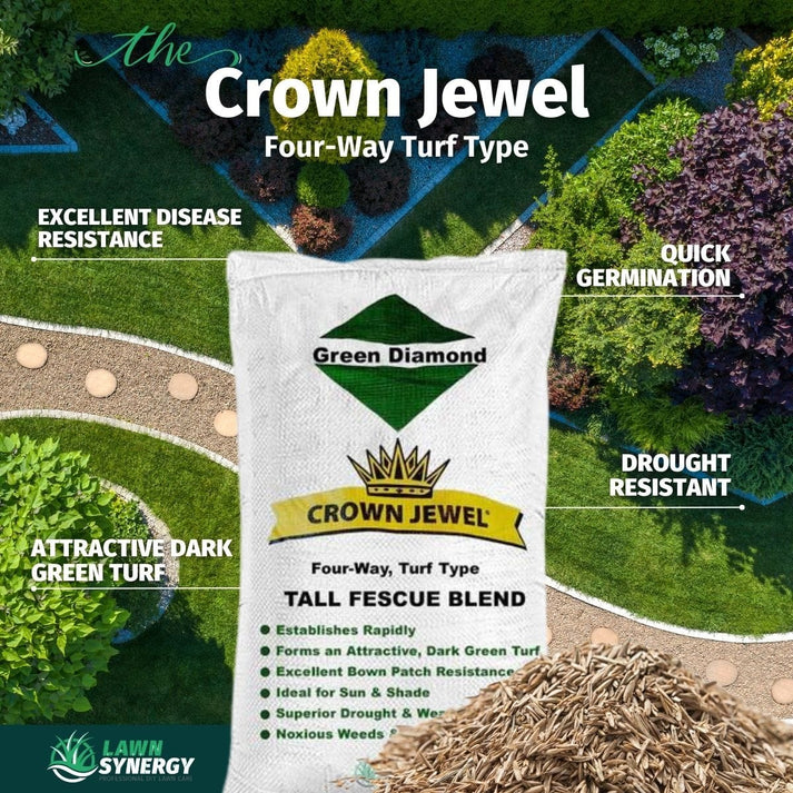 Crown Jewel Tall Fescue Seed – Premium Turf-Type Blend for Dense, Dark ...