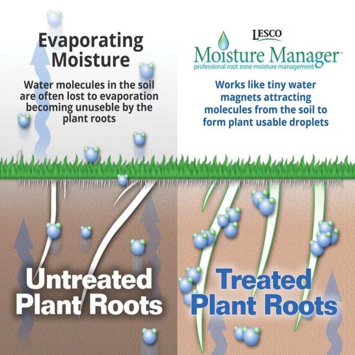 LESCO Moisture Manager - Relieves Hot Spots Quickly