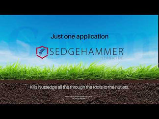 Sedgehammer | Sedgehammer Herbicide Weed Killer Plus