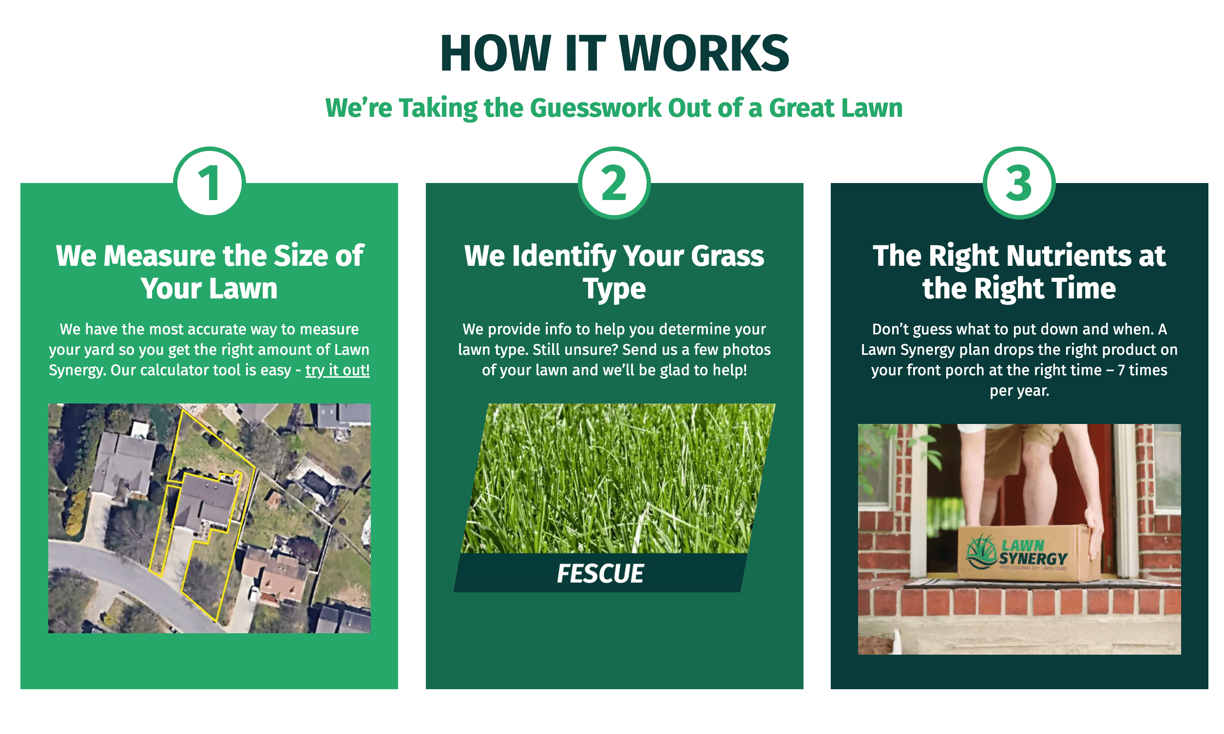 DIY Lawn Care Fertilizer Program Subscription